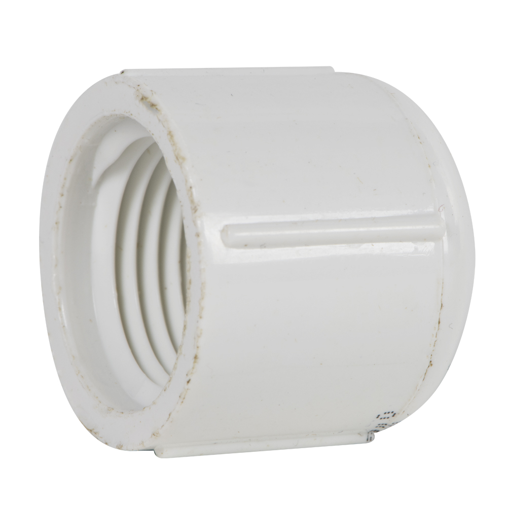 1/2" Schedule 40 White PVC Threaded Cap | U.S. Plastic Corp.