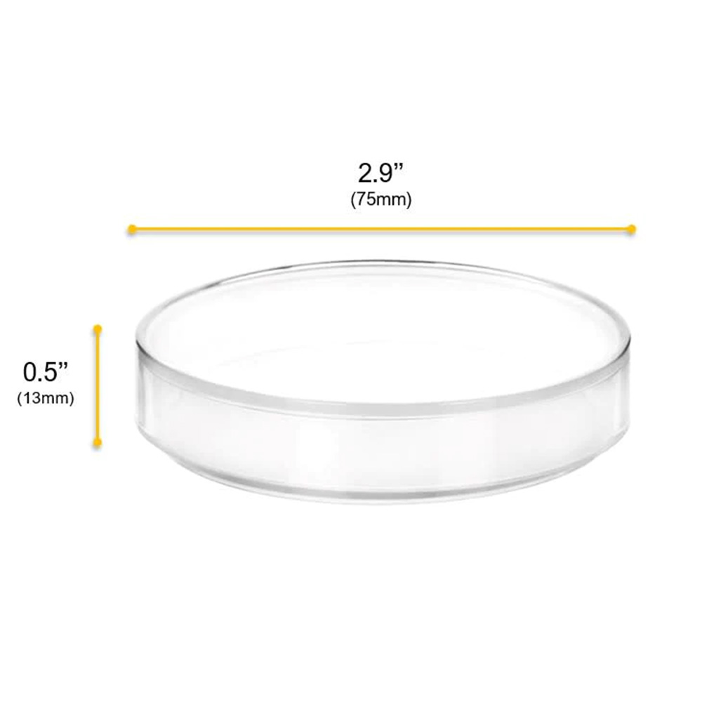 75mm Dia. x 13mm Hgt. Non-Sterile Clear Polypropylene Petri Dish ...