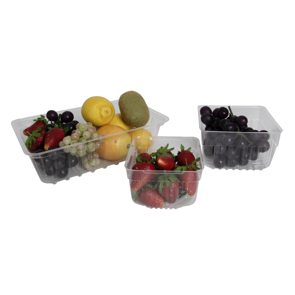 Open-Top Produce & Berry Trays | U.S. Plastic Corp.