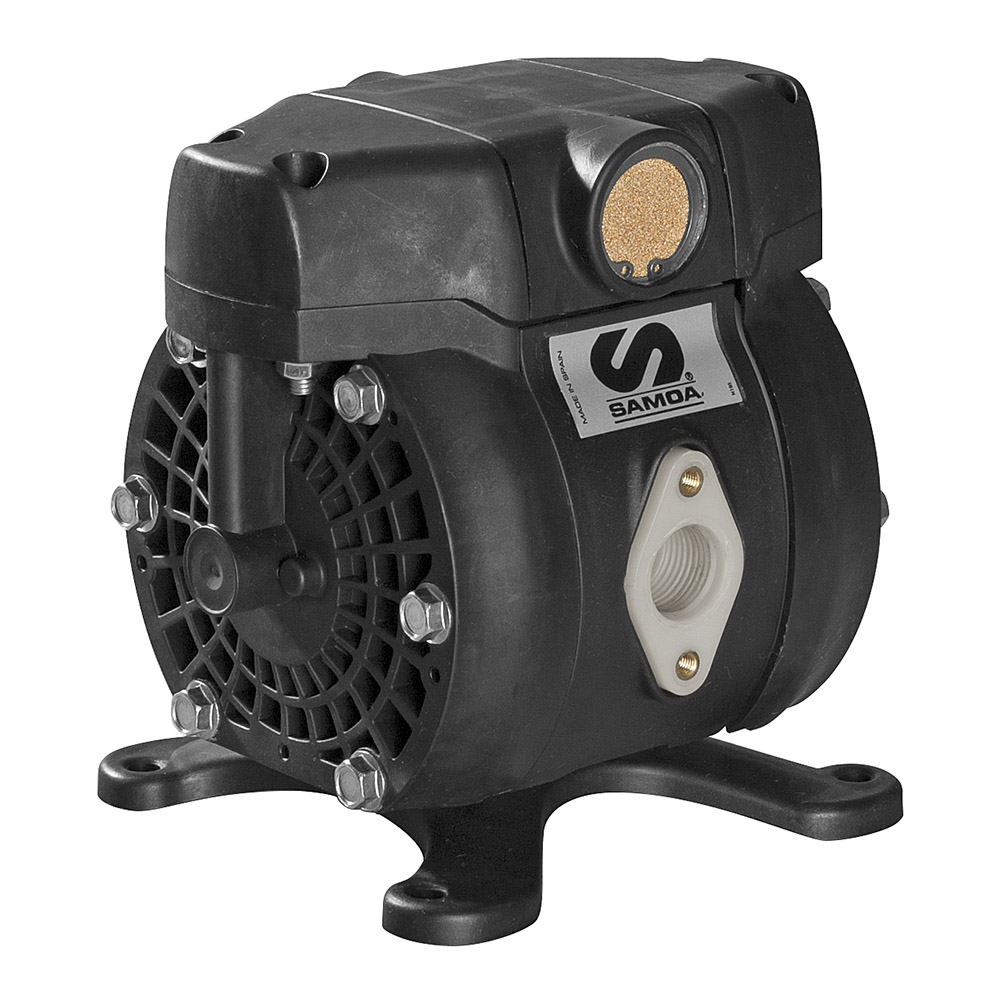 3/8" DF30 Direct Flo 10 GPM Pump with Polypropylene Body & PTFE ...